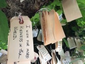 The Wishing Tree | Kristi Does PDX: Adventures in Portland, OR