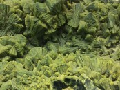 Rice Museum of Rocks & Minerals | Kristi Does PDX: Adventures in ...